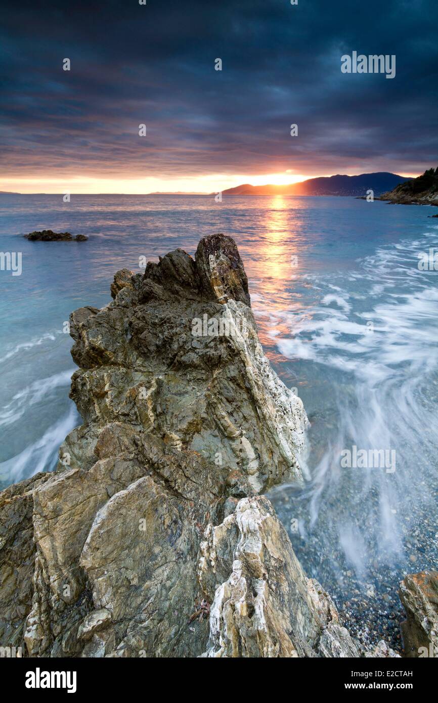 France Var Croix Valmer Cap Lardier site of the conservatory of coastal ...