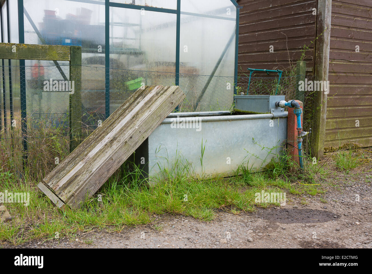 Garden water trough for storing water with automatic cistern for ...