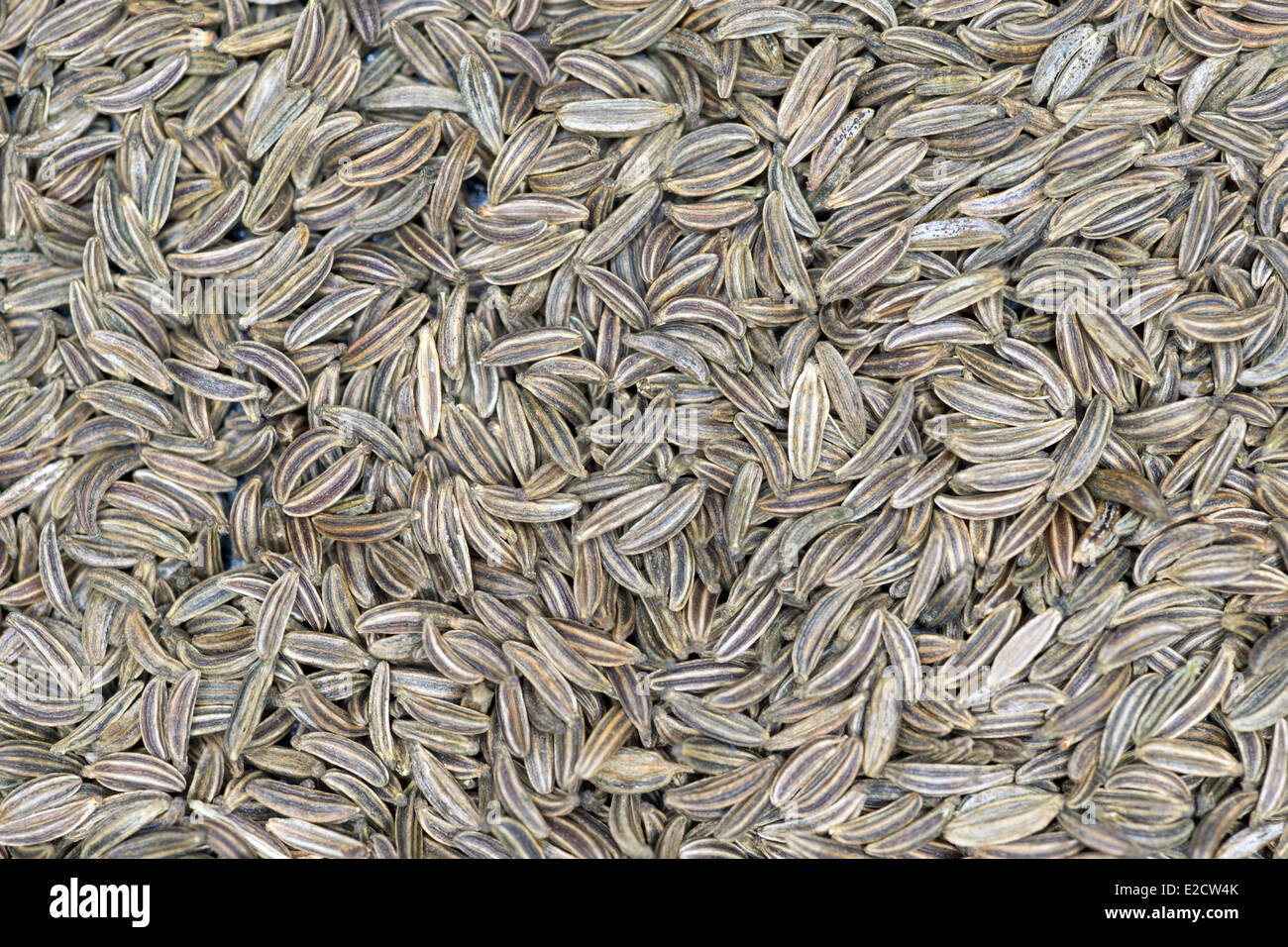 many dry cumin corns as a background Stock Photo - Alamy