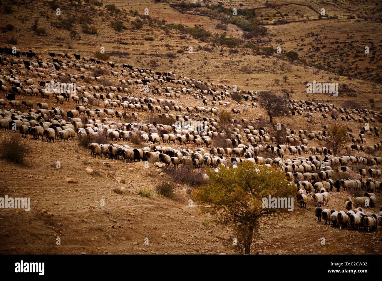 Turkey South Eastern Anatolya Mardin region Midyat Stock Photo - Alamy