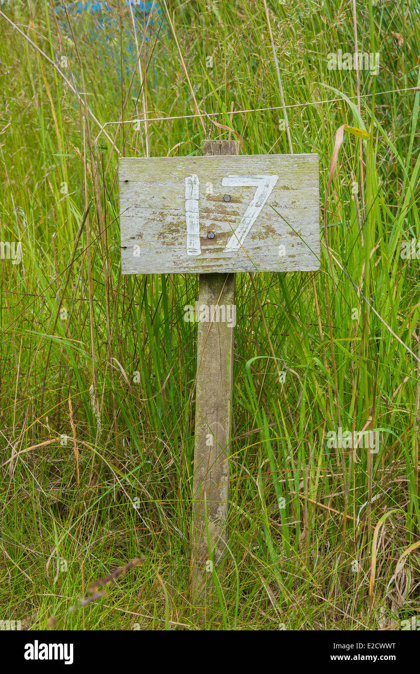 Wooden sign giving garden plot number Stock Photo - Alamy
