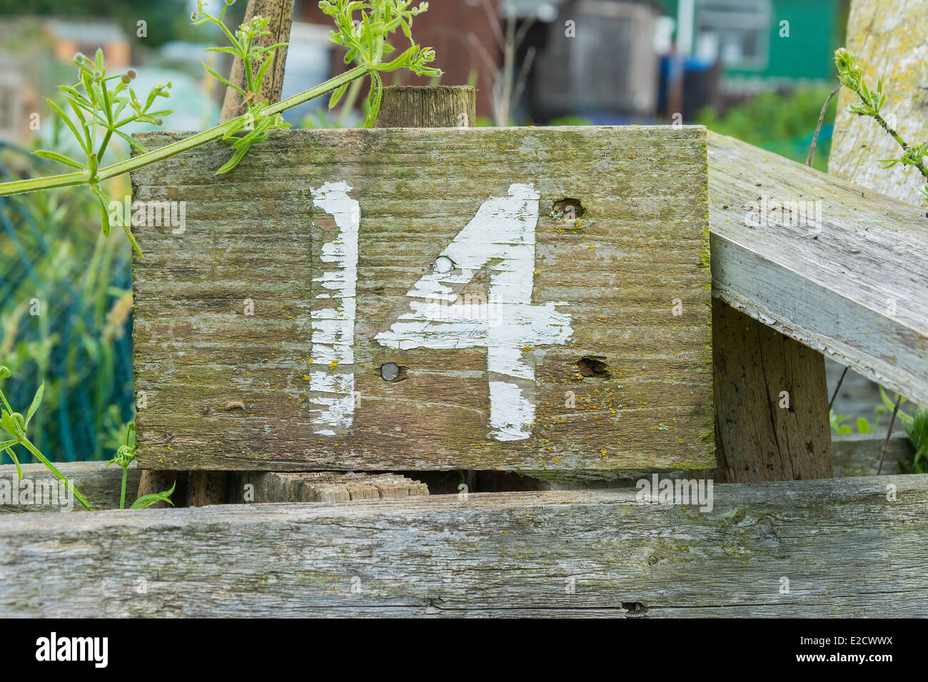Wooden sign giving garden plot number Stock Photo - Alamy