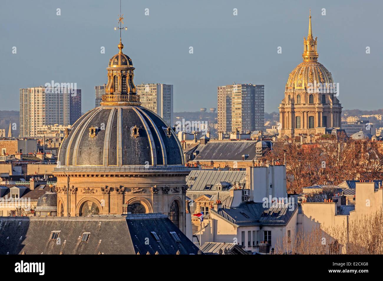 France Paris the domes of the French Institut (French Academy) and the ...