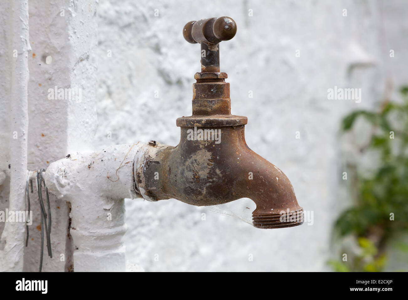Brass tap for garden watering Stock Photo - Alamy