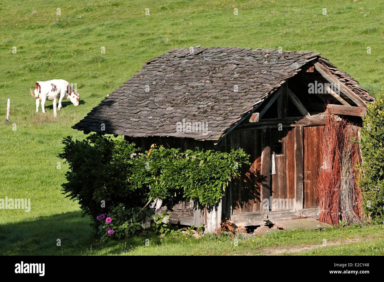 France Haute Saone Route des Chalots Saint Bresson a kind of attic ...