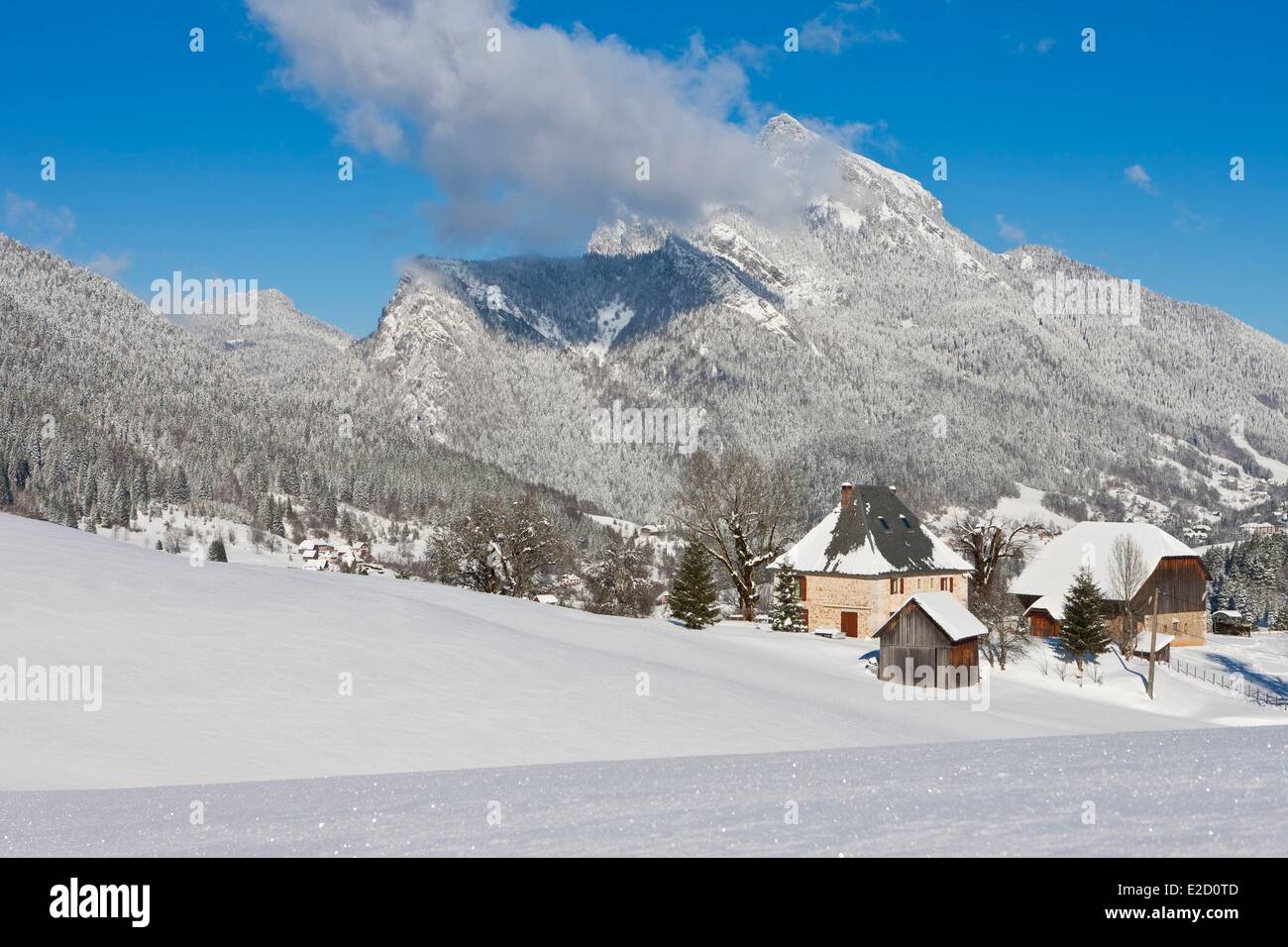 France Isere Parc Naturel Regional de Chartreuse (Natural regional park ...