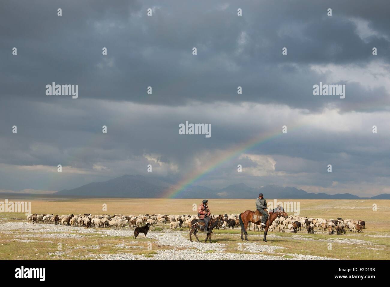 Kyrgyzstan Naryn Province Arpa valley shepperds leading a flock of ...
