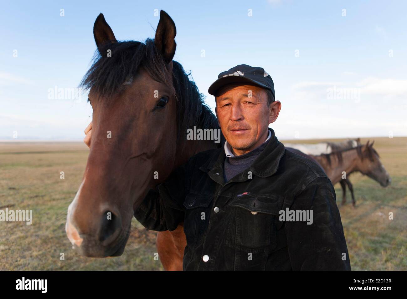 Arpa mare hi-res stock photography and images - Alamy