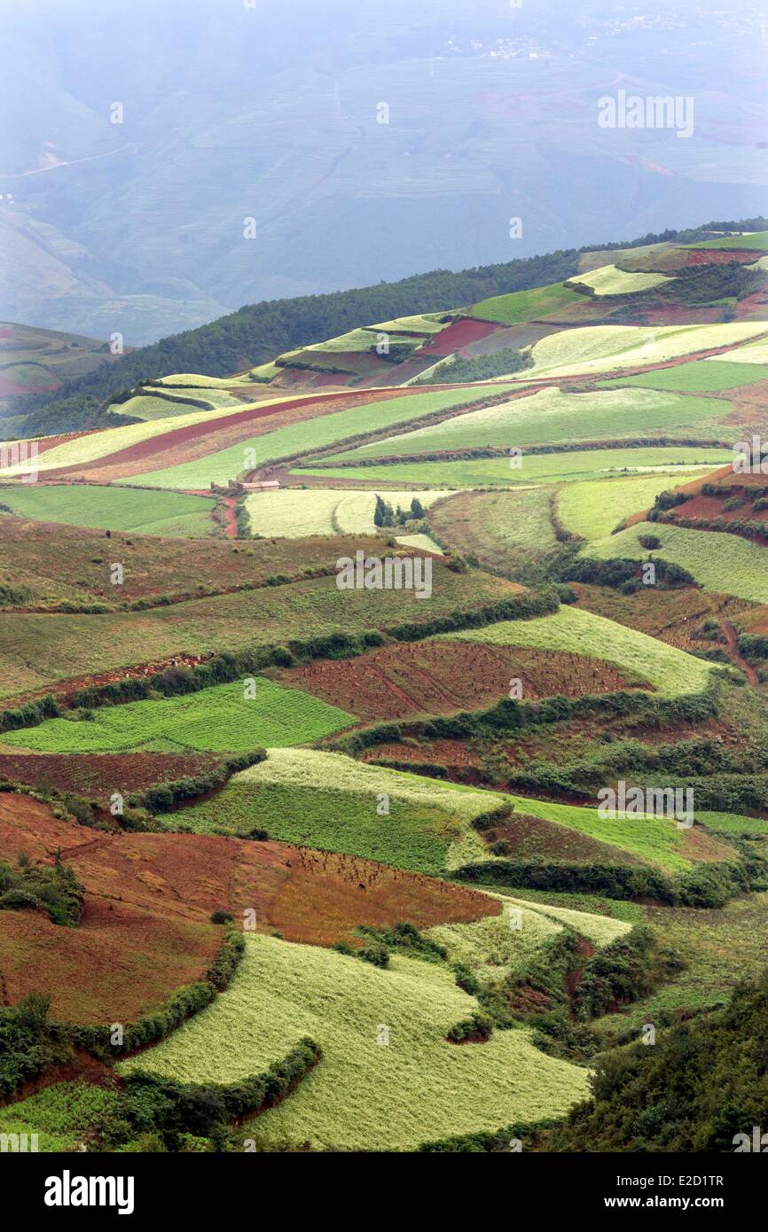 China Yunnan Province Dongchuan District Jinxiuyuan Beautiful garden ...