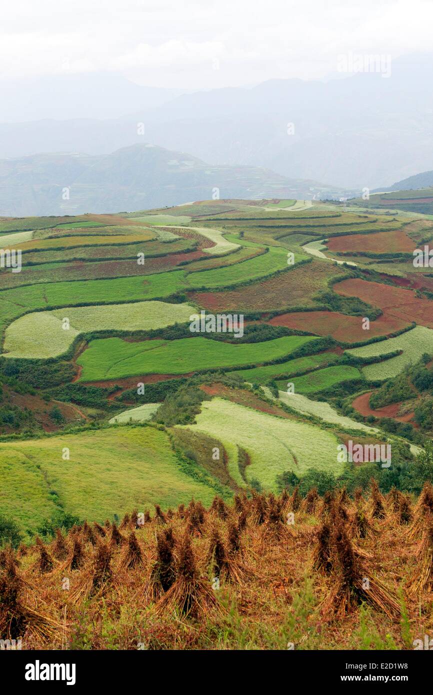 China Yunnan Province Dongchuan District Jinxiuyuan Beautiful garden ...