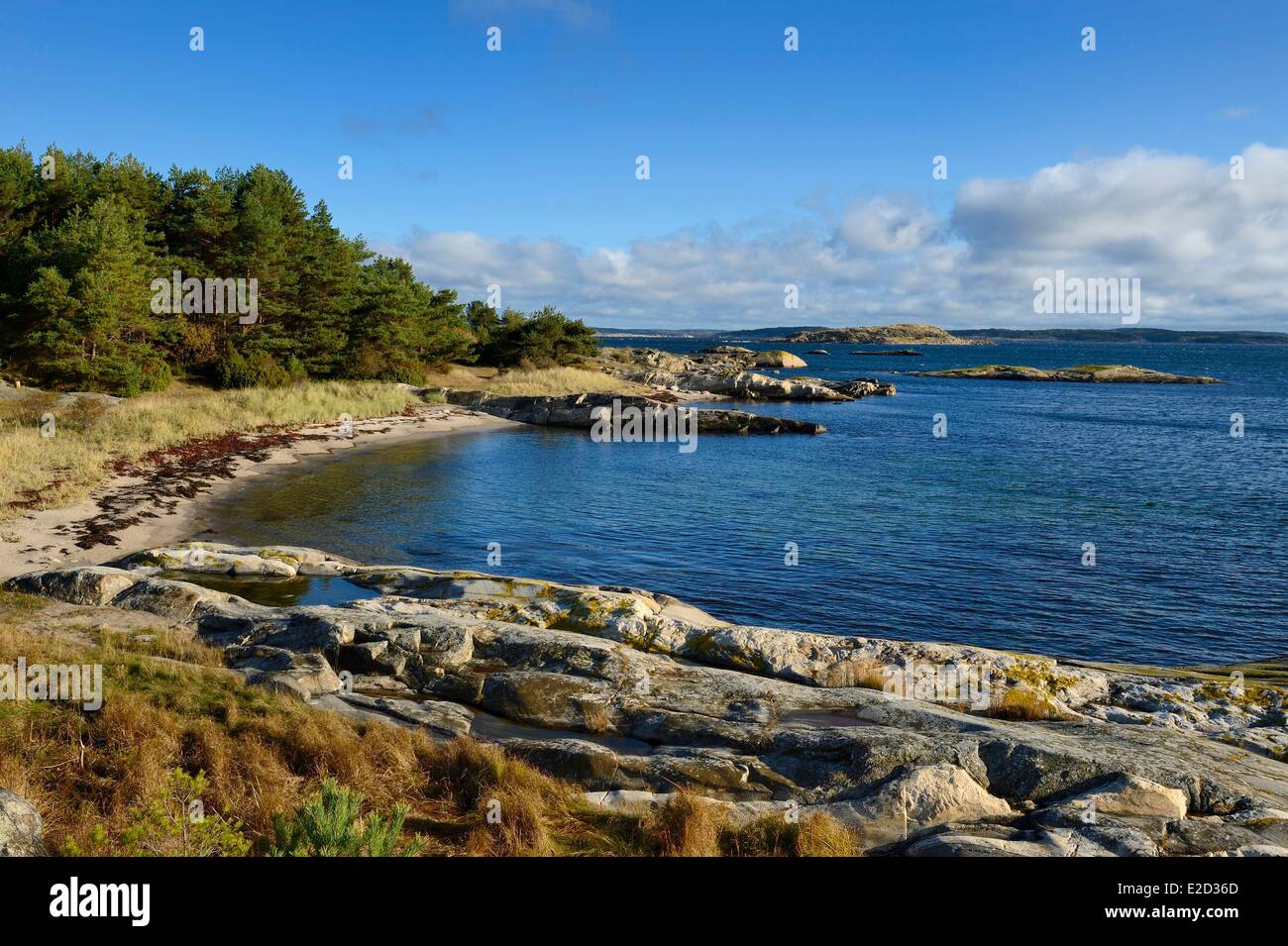 Sweden Vastra Gotaland Koster Islands Sydkoster sandy beach Stock Photo ...