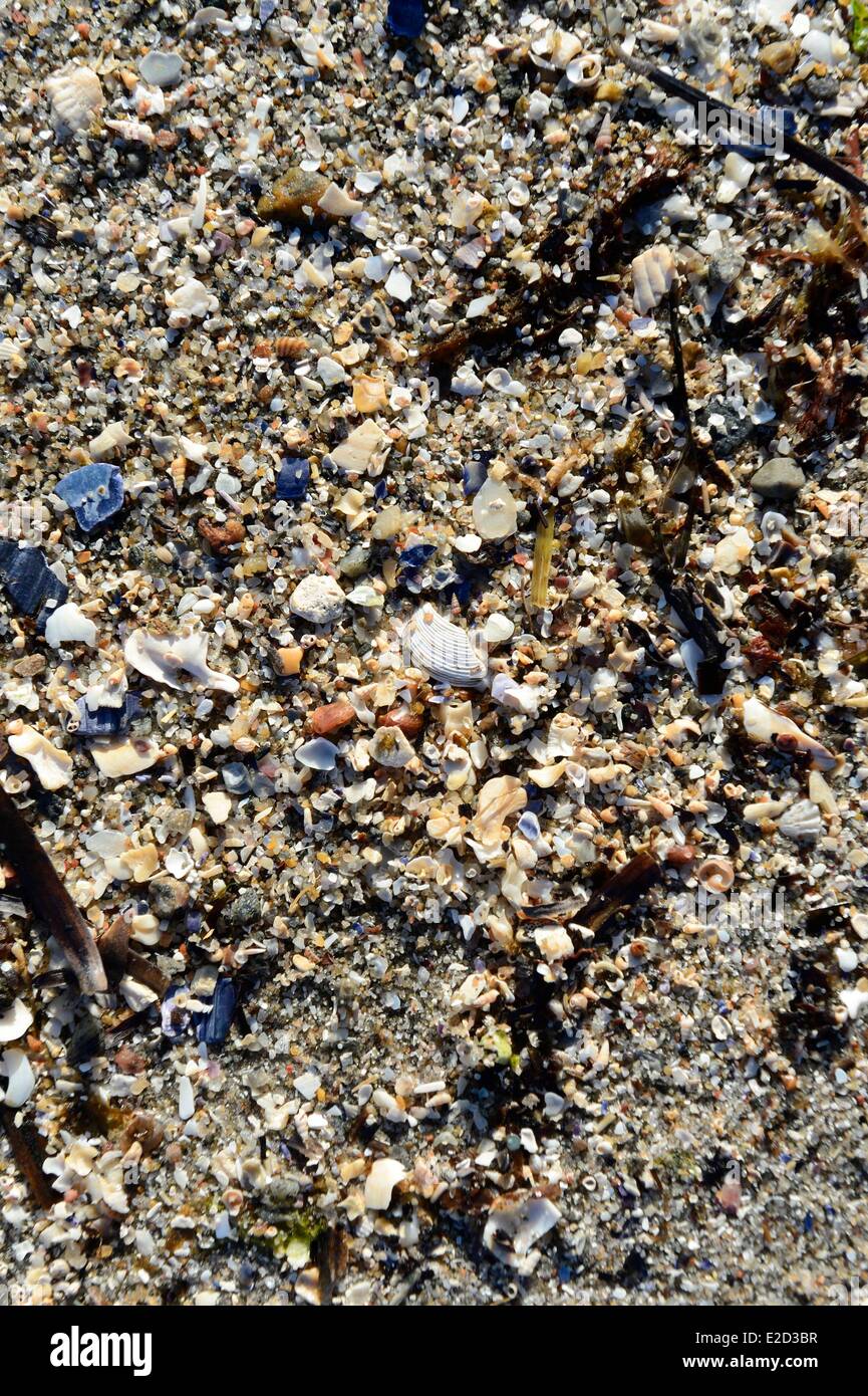 Shell debris hi-res stock photography and images - Alamy