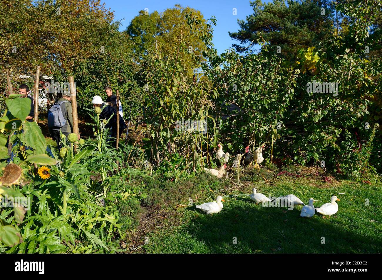 Sweden Vastra Gotaland Koster Islands Sydkoster the Koster Garden ...