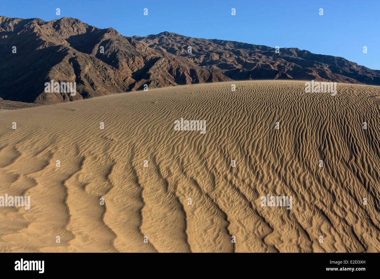 United States California Death Valley National Park Mesquite Flat Sand ...