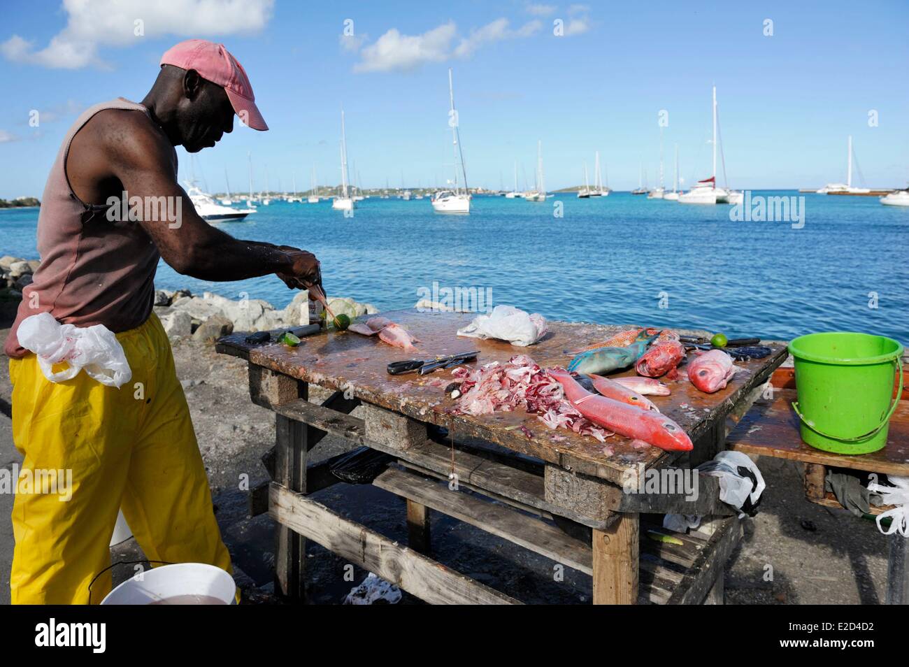 France Guadeloupe Saint Martin Marigot fish market on the seafront ...