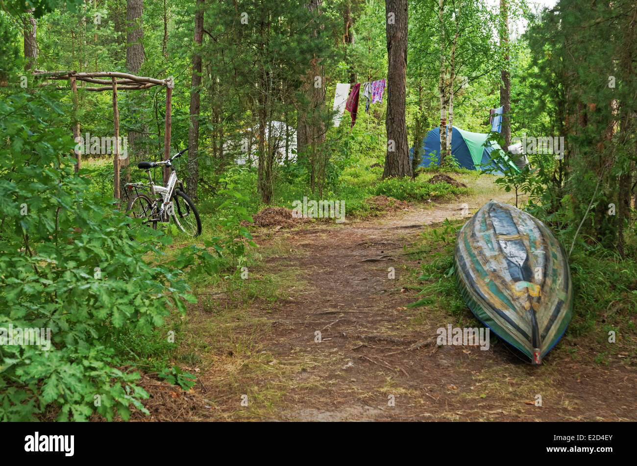 Tourists camping in forest Stock Photo - Alamy