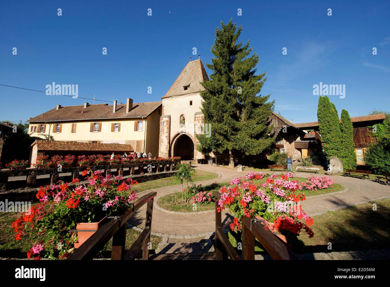 Medieval village near obernai hi-res stock photography and images - Alamy
