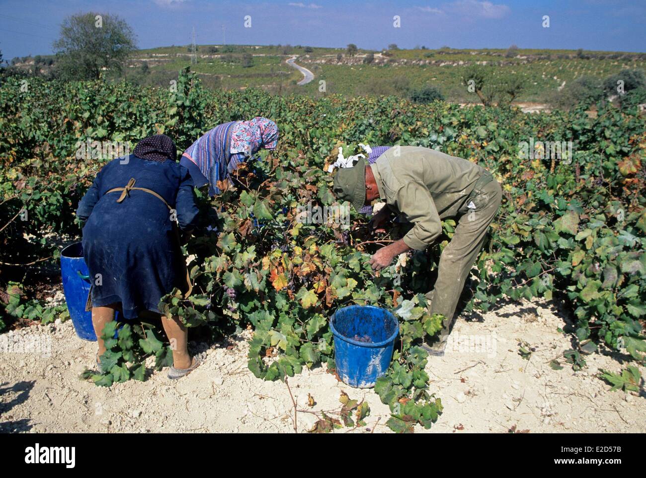 Polemi hi-res stock photography and images - Alamy