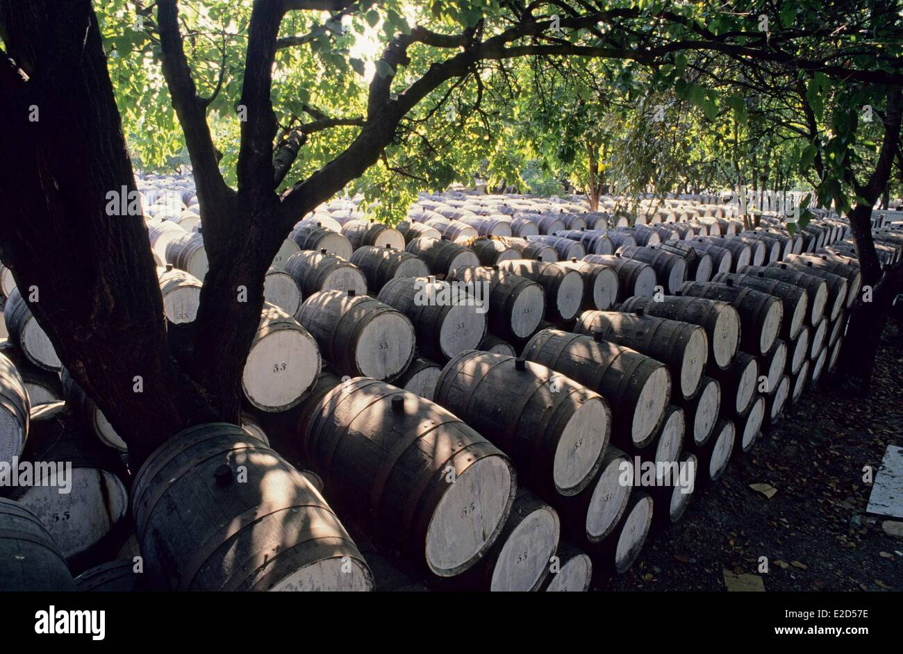 Keo winery cyprus hi-res stock photography and images - Alamy