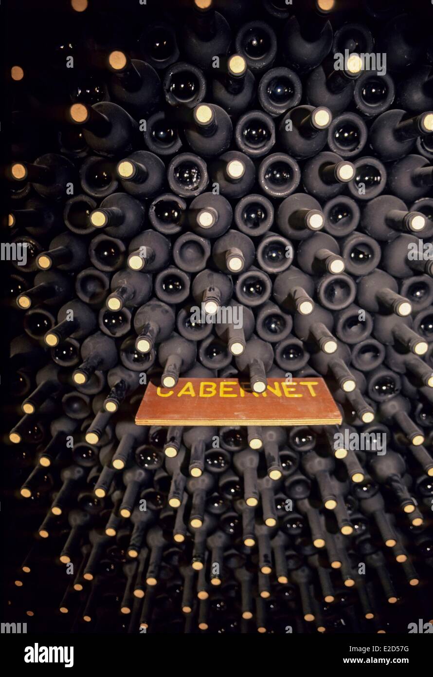 Eagle Eye Movie Computer