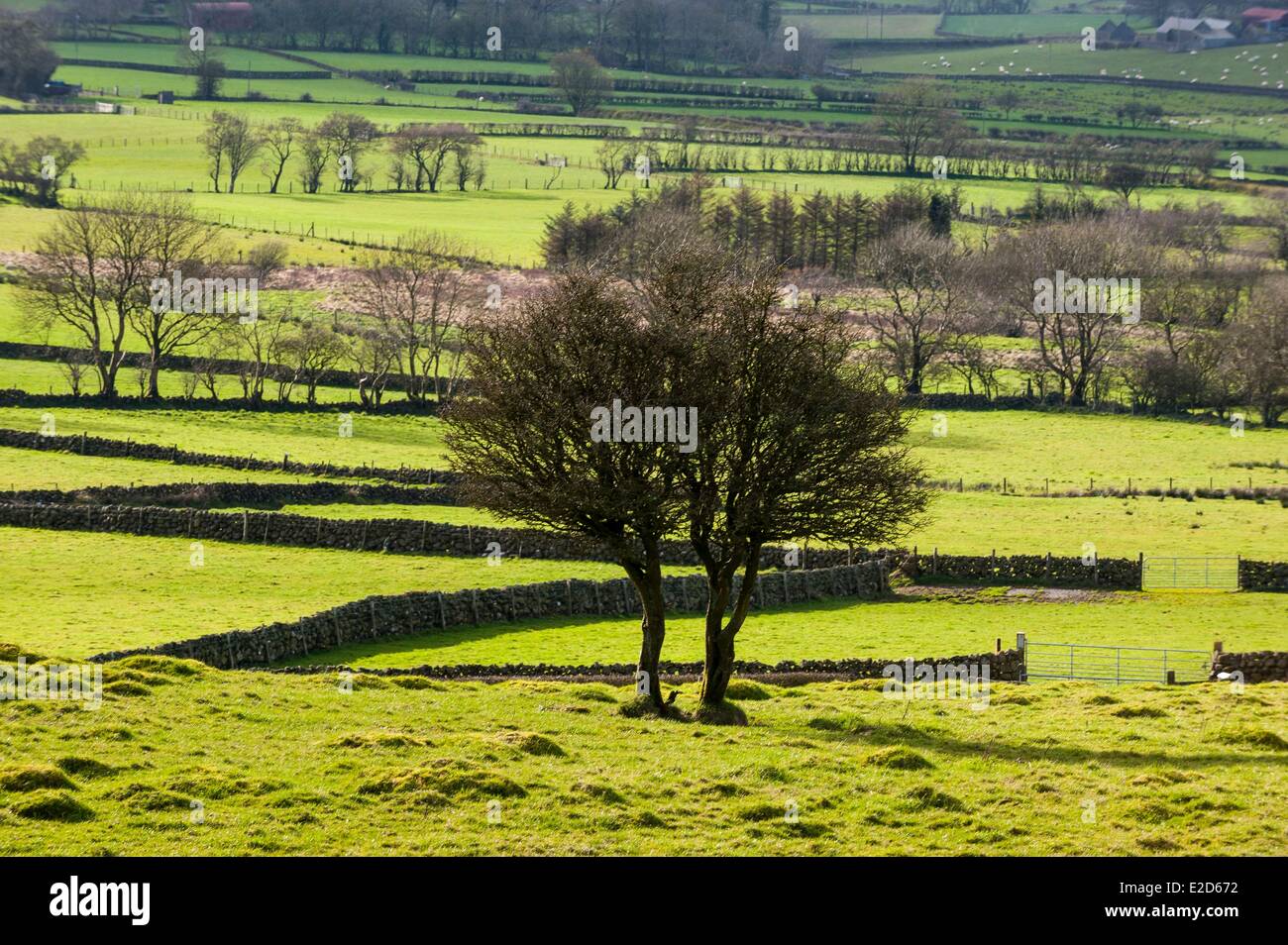 United Kingdom Northern Ireland County Antrim Slemish Mountain near ...