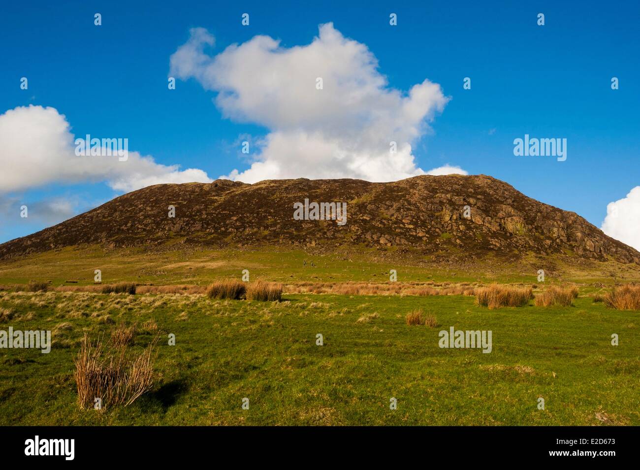 United Kingdom Northern Ireland County Antrim Slemish Mountain near ...
