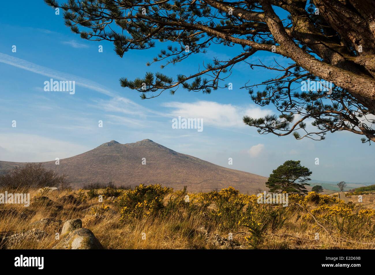 United Kingdom Northern Ireland County Down the Mourne mountains near ...