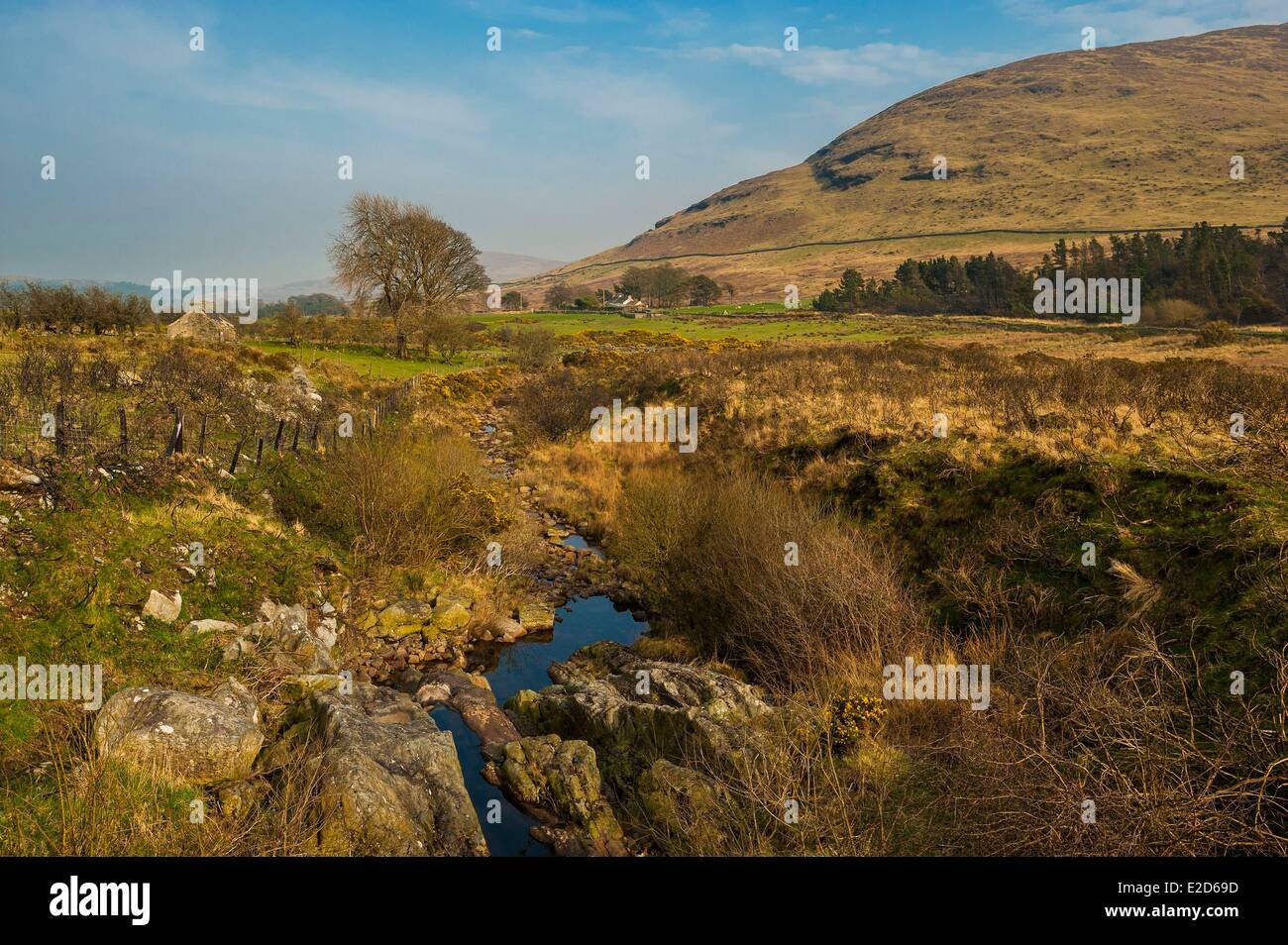 United Kingdom Northern Ireland County Down the Mourne mountains near ...