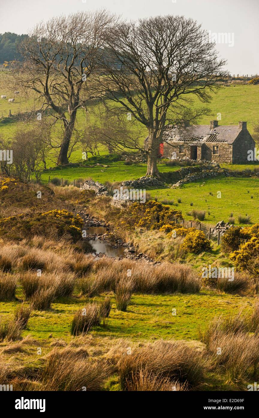 United Kingdom Northern Ireland County Down the Mourne mountains near ...