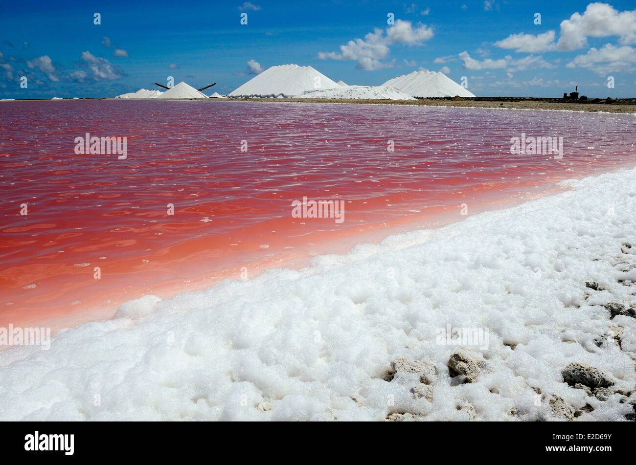 Dutch West Indies Bonaire island Salt Pans and lake mountains of salt ...