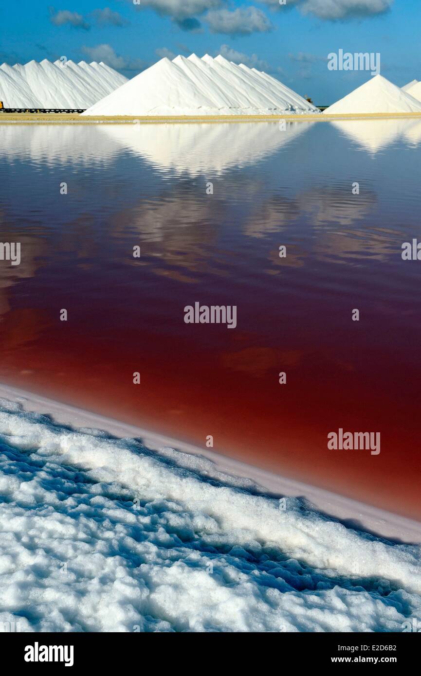 Bonaire salt flats hi-res stock photography and images - Alamy