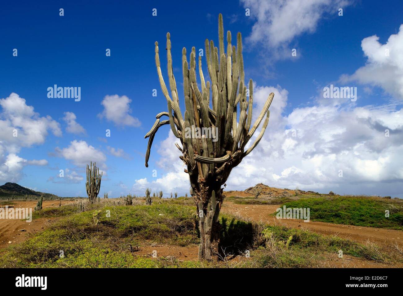 Datu hi-res stock photography and images - Alamy