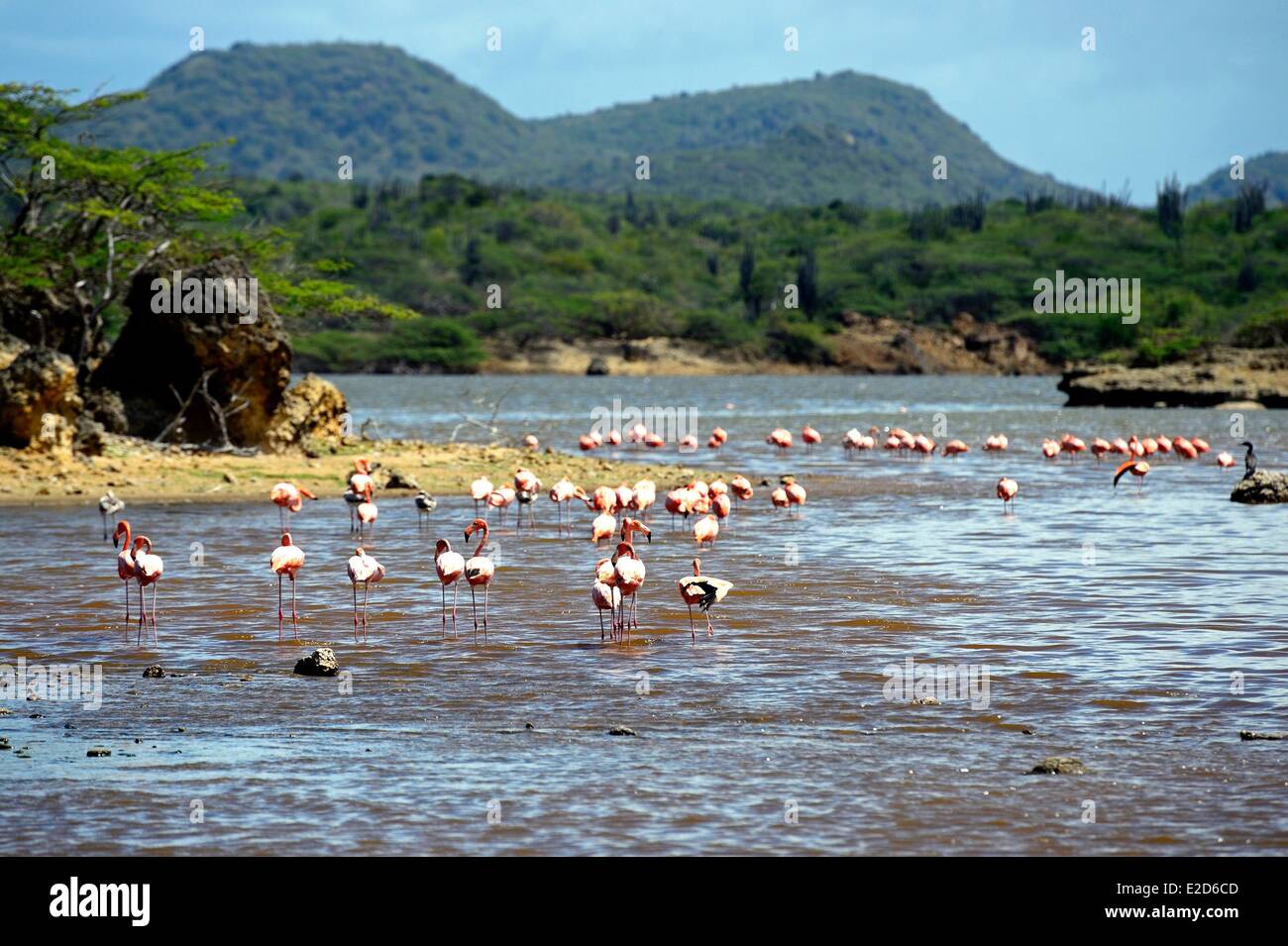 Dutch West Indies Bonaire island Washington Slagbaai National Park ...