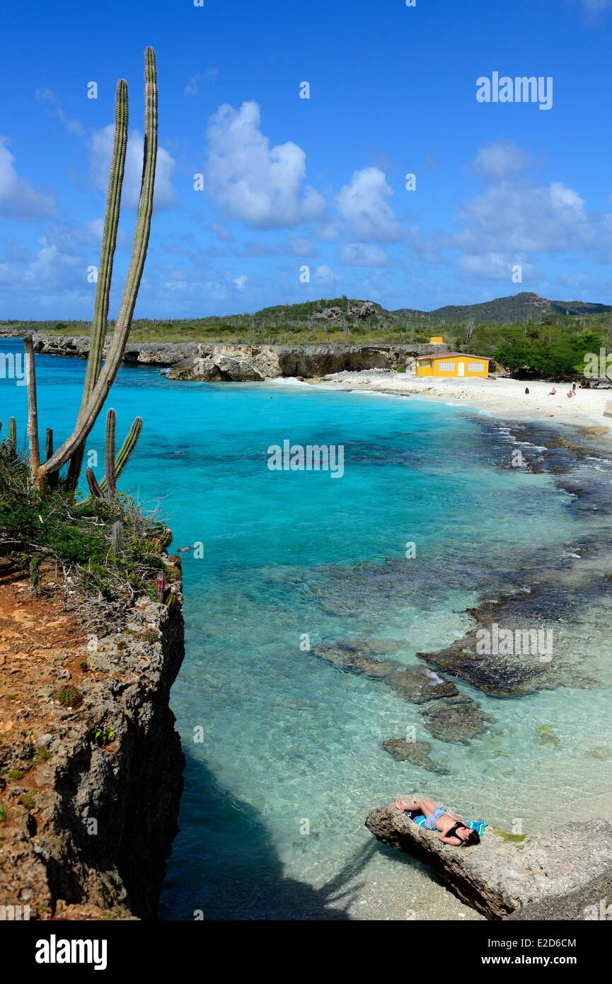 Dutch West Indies Bonaire island sun-drenched beach house at Playa ...