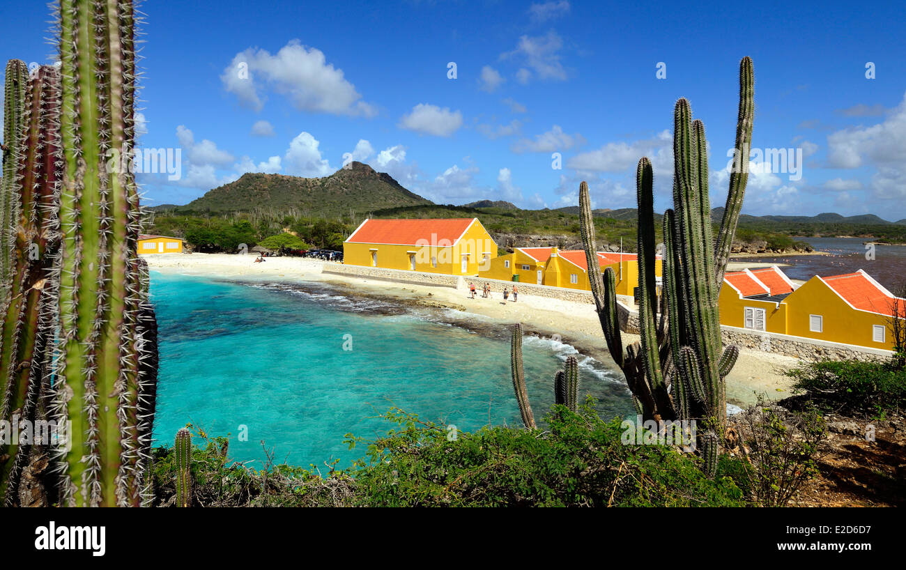 Dutch West Indies Bonaire island sun-drenched beach house at Playa ...
