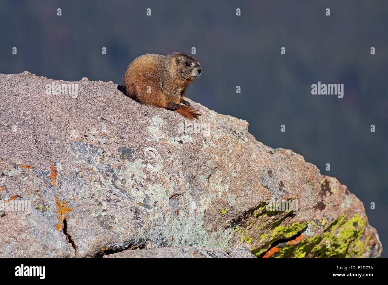 United States Colorado Rocky Mountains Rocky Mountain National Park ...