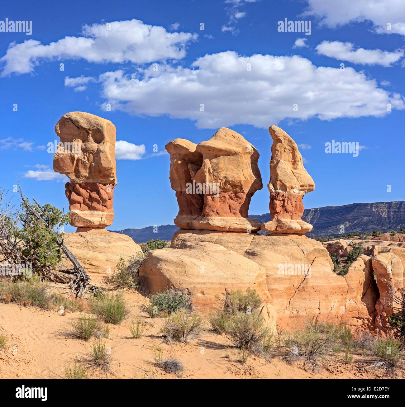 United States Utah Colorado Plateau Grand Staircase-Escalante National ...