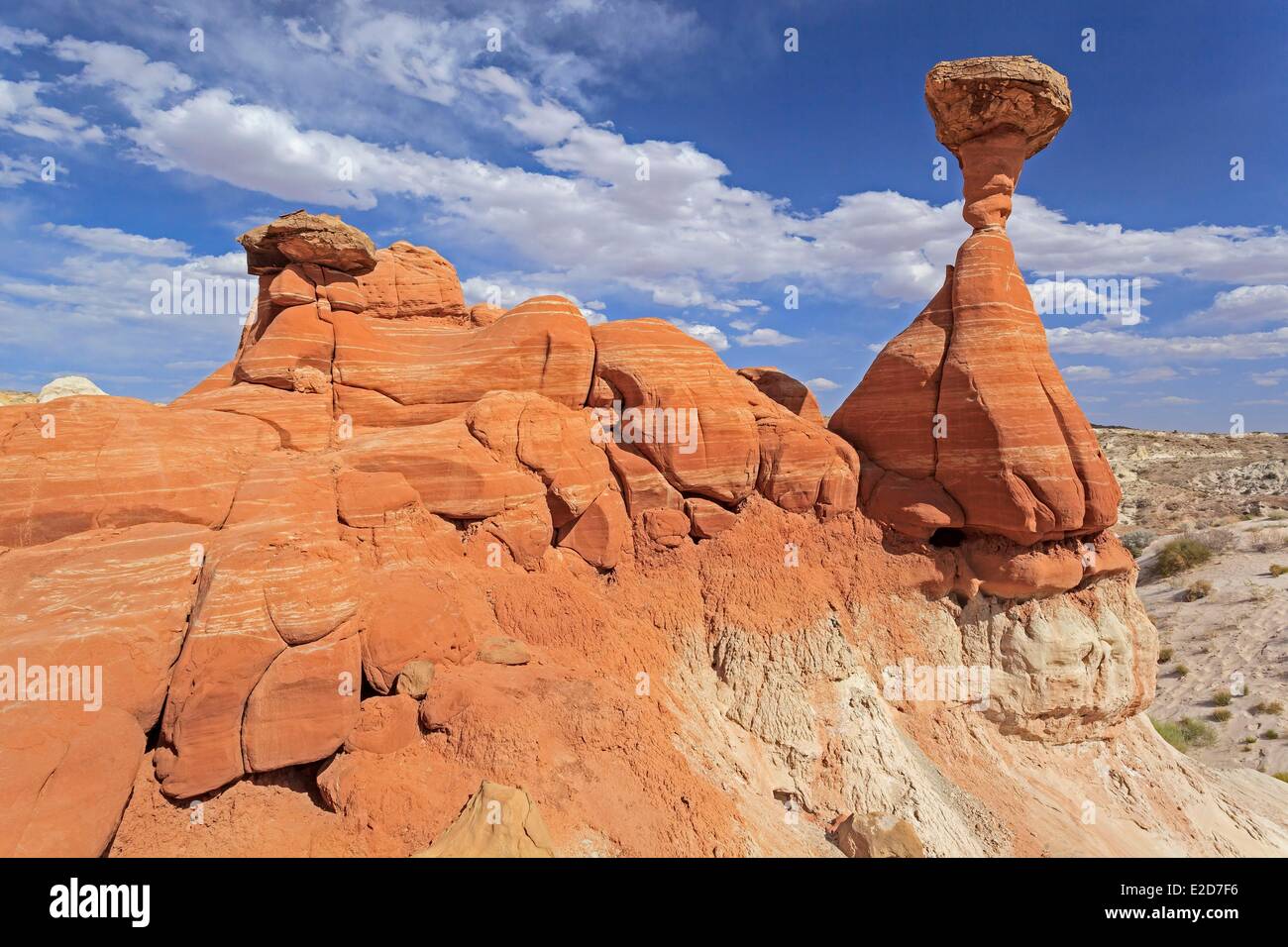 United States Utah Colorado Plateau Grand Staircase-Escalante National ...