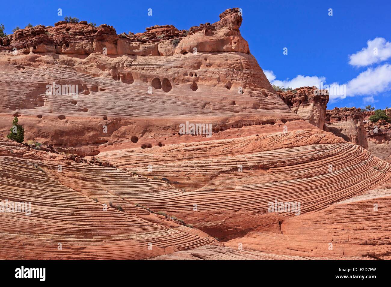 United States Utah Colorado Plateau Grand Staircase-Escalante National ...