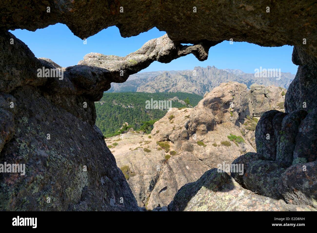 France Corse du Sud Alta Rocca massif of Bavella the Aiguilles de ...