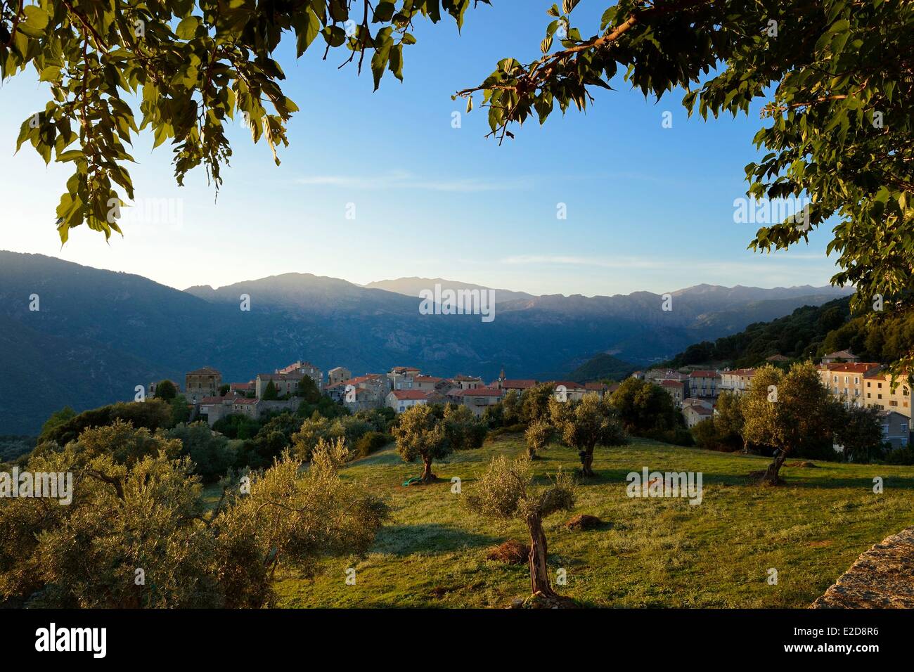 France, Corse du Sud, Alta Rocca, Sainte Lucie de Tallano (Santa Lucia ...