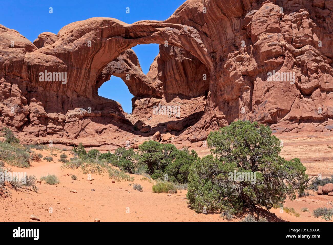 United States Utah Colorado Plateau Arches National Park Double Arch ...