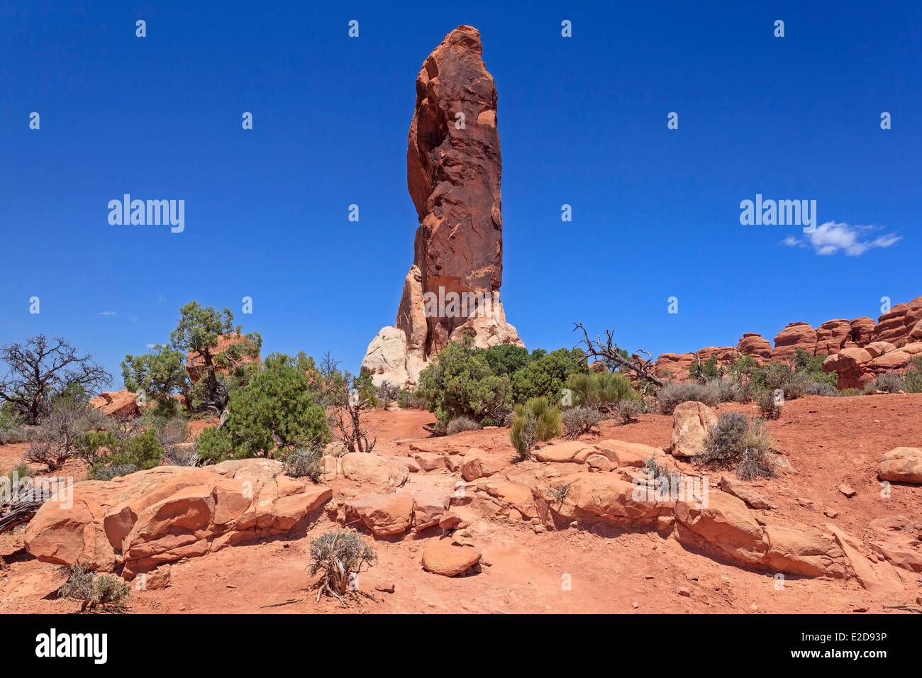 United States Utah Colorado Plateau Arches National Park Devil's Garden ...