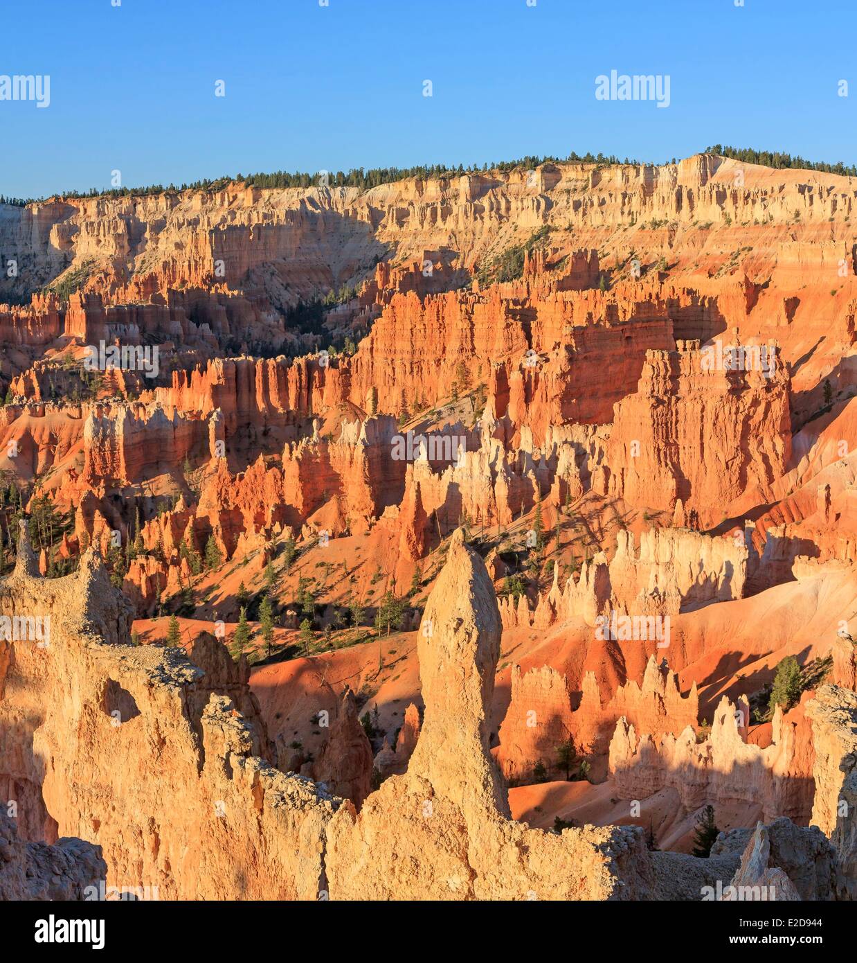 United States Utah Colorado Plateau Bryce Canyon National Park Bryce ...
