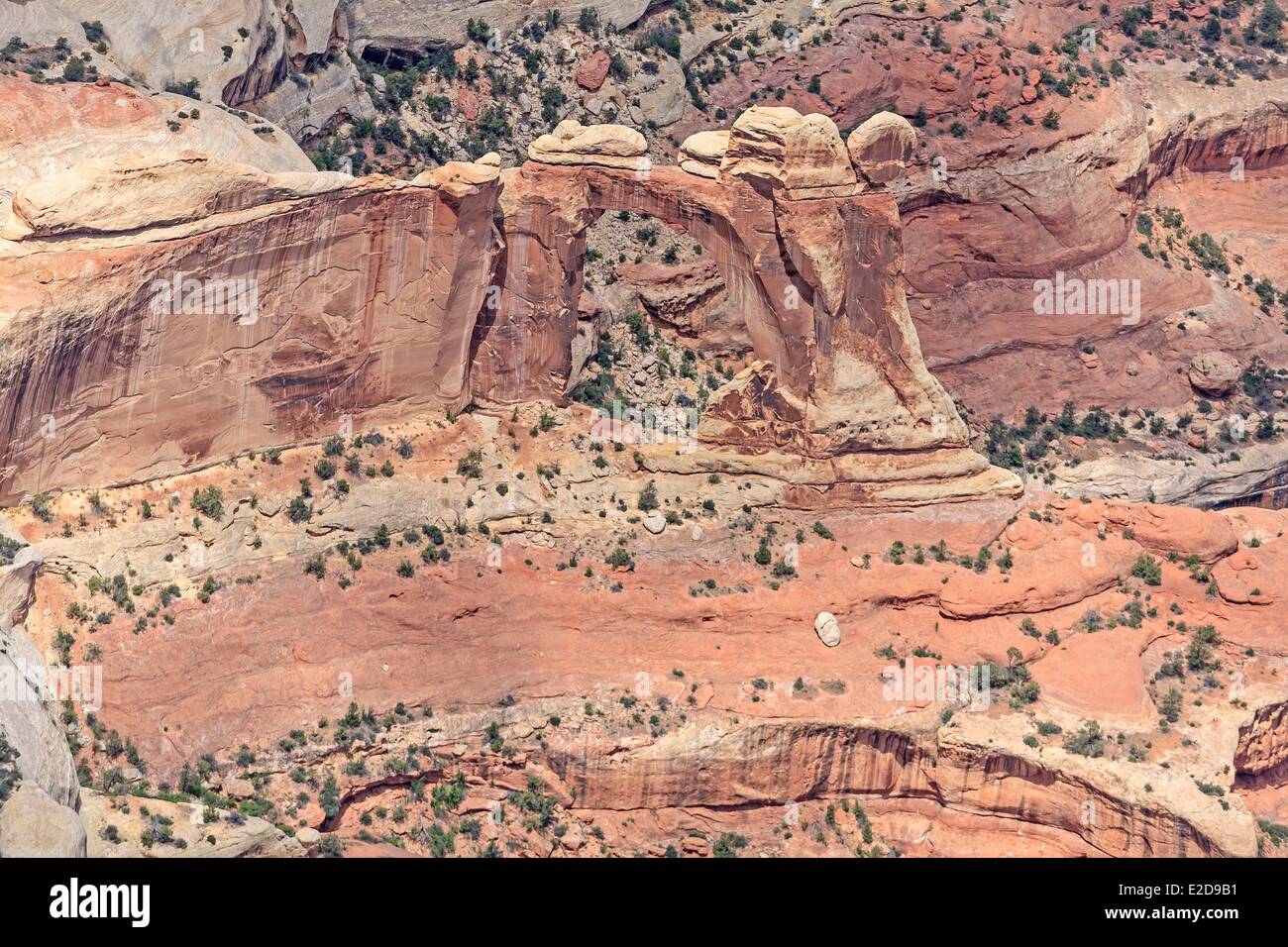 United States Utah Colorado Plateau Canyonlands National Park Needles ...