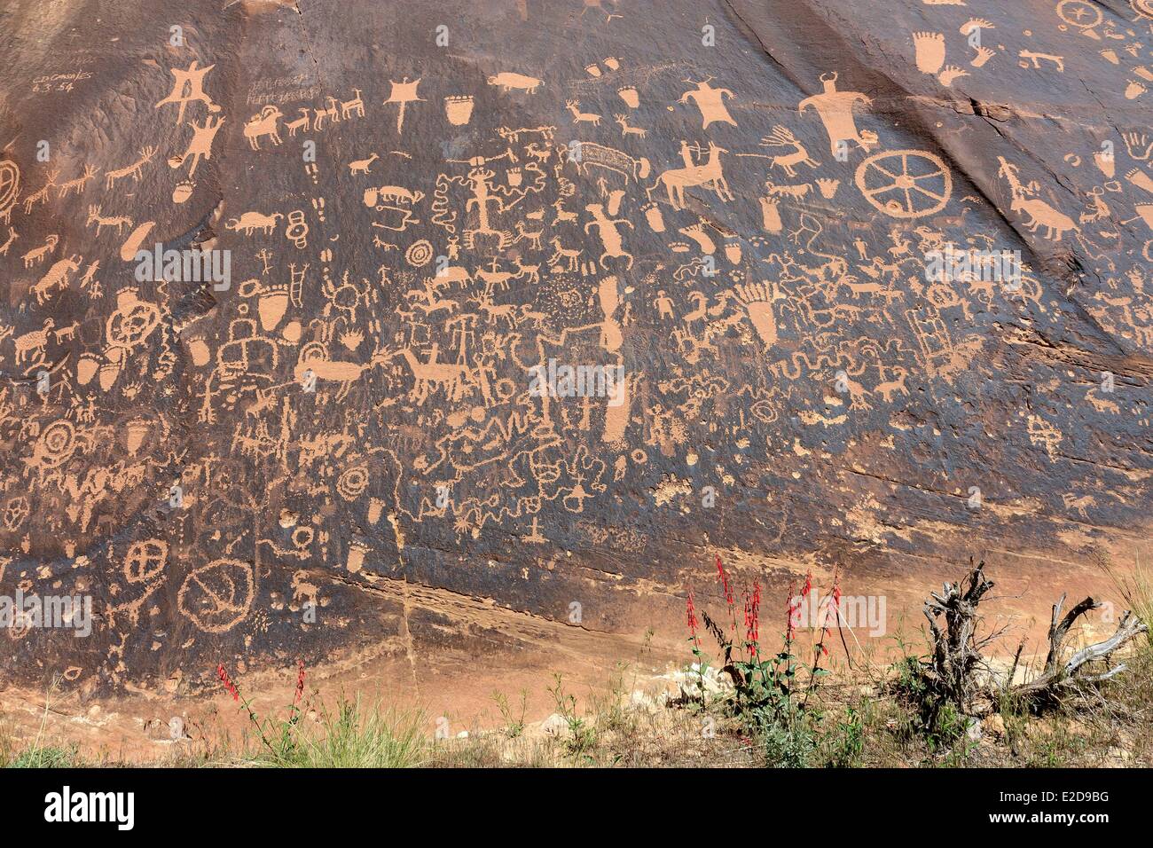 United States Utah Colorado Plateau Newspaper Rock State Historical ...