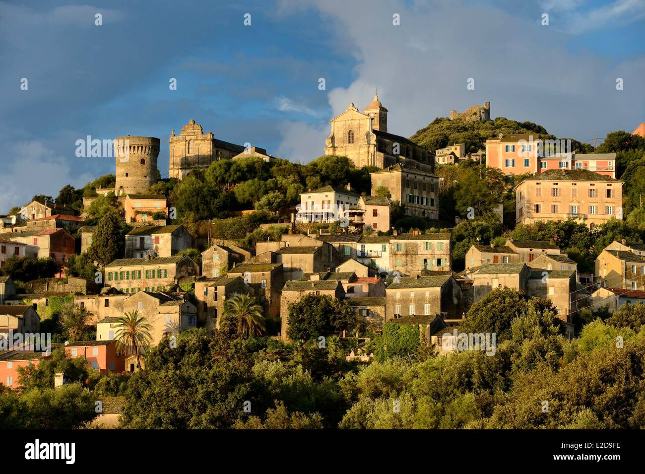 Rogliano village hi-res stock photography and images - Alamy