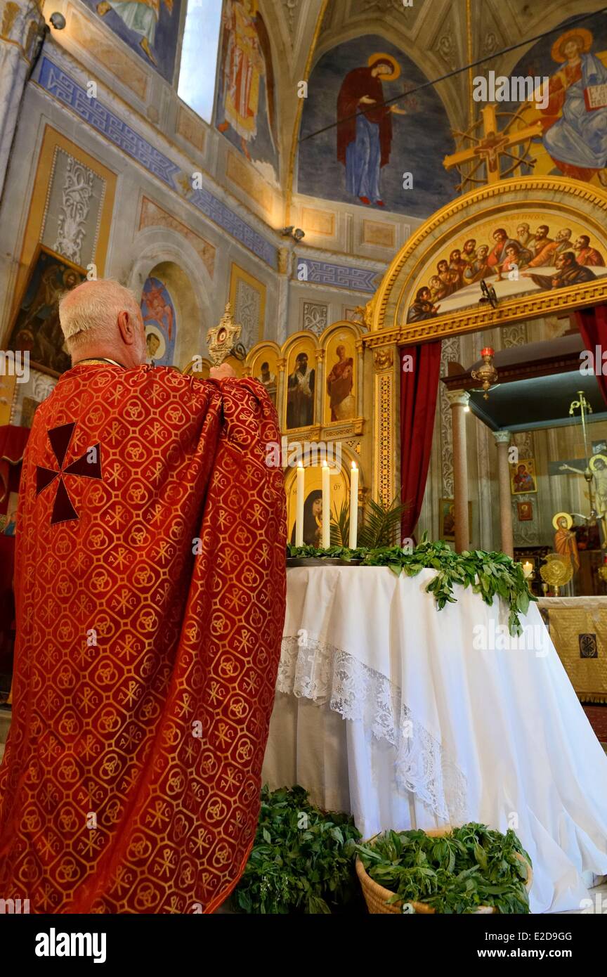 Greek basil hi-res stock photography and images - Alamy