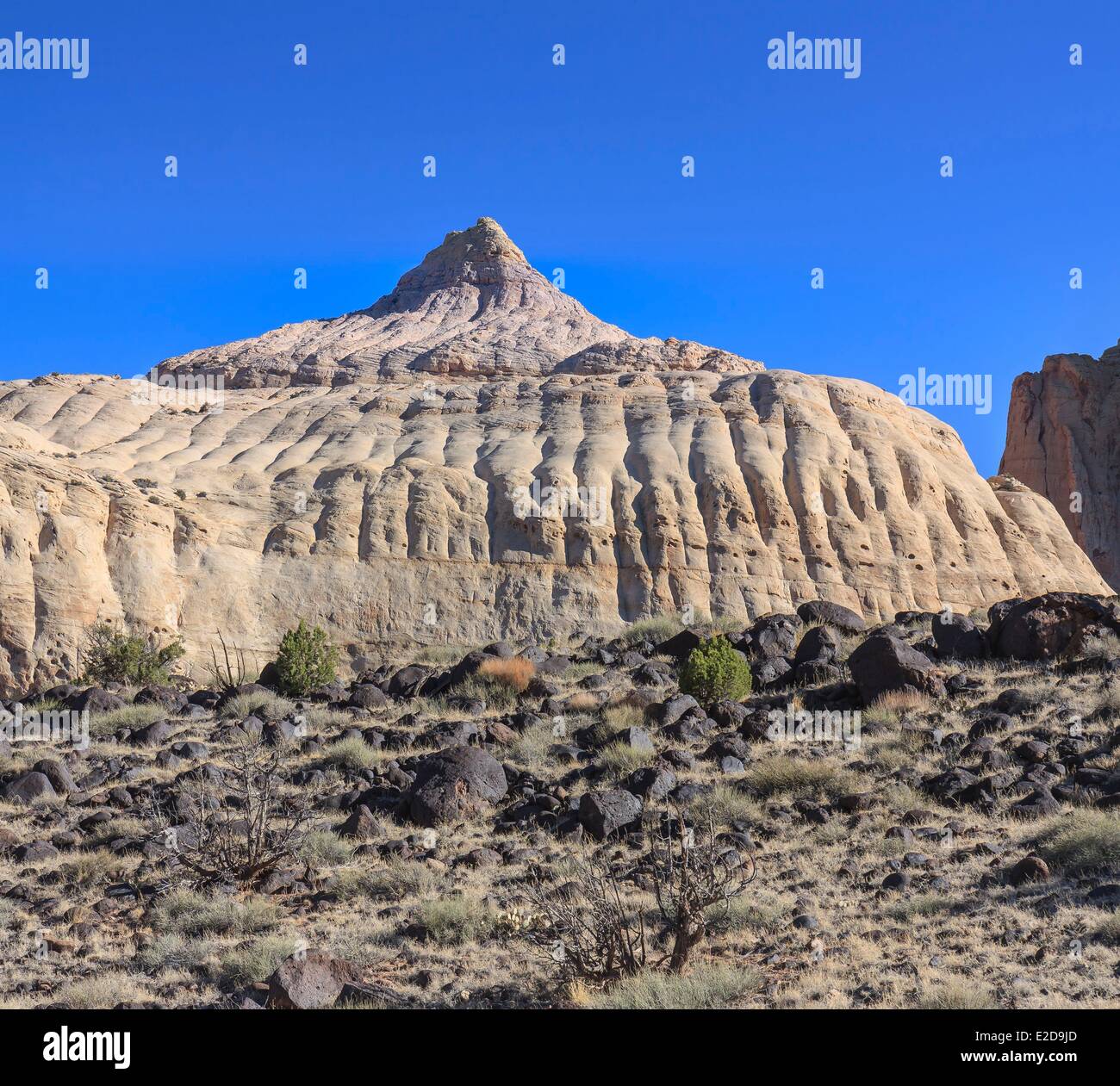United States Utah Colorado Plateau Capitol Reef National Park ...