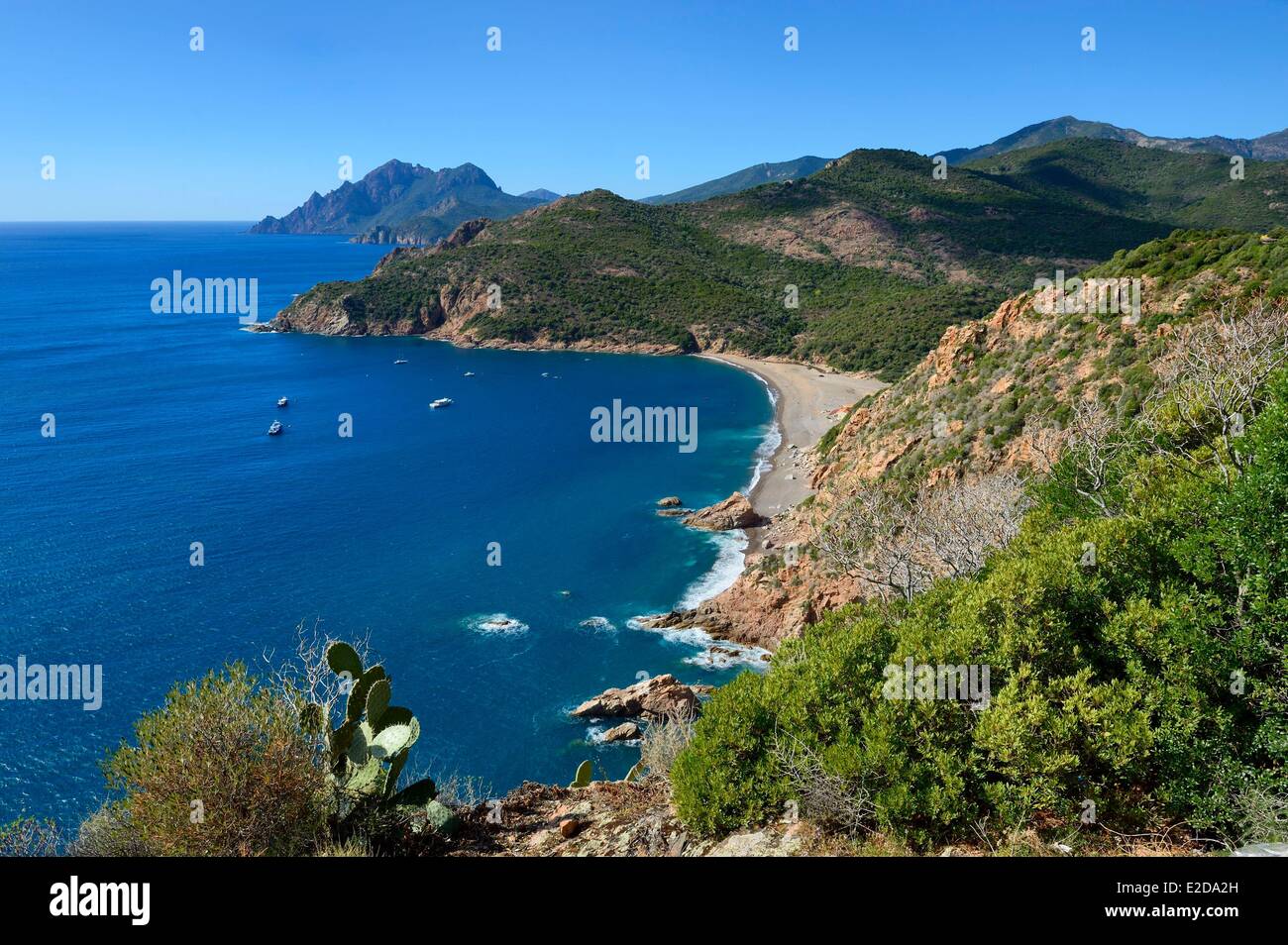 France, Corse du Sud, Golfe de Porto, listed as World Heritage by ...